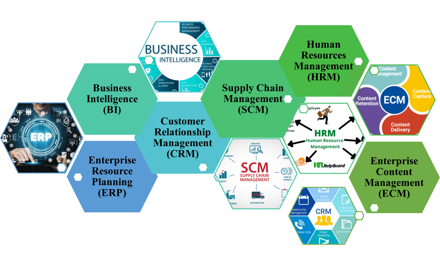 Building Custom Enterprise Apps | Amplework